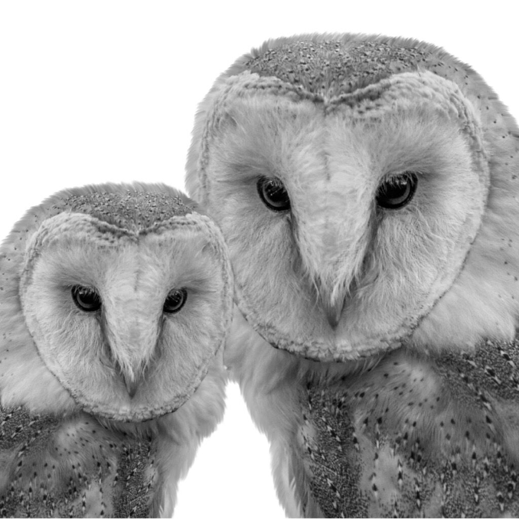 Notre Équipe Juridique - VZ Lawyers Suisse